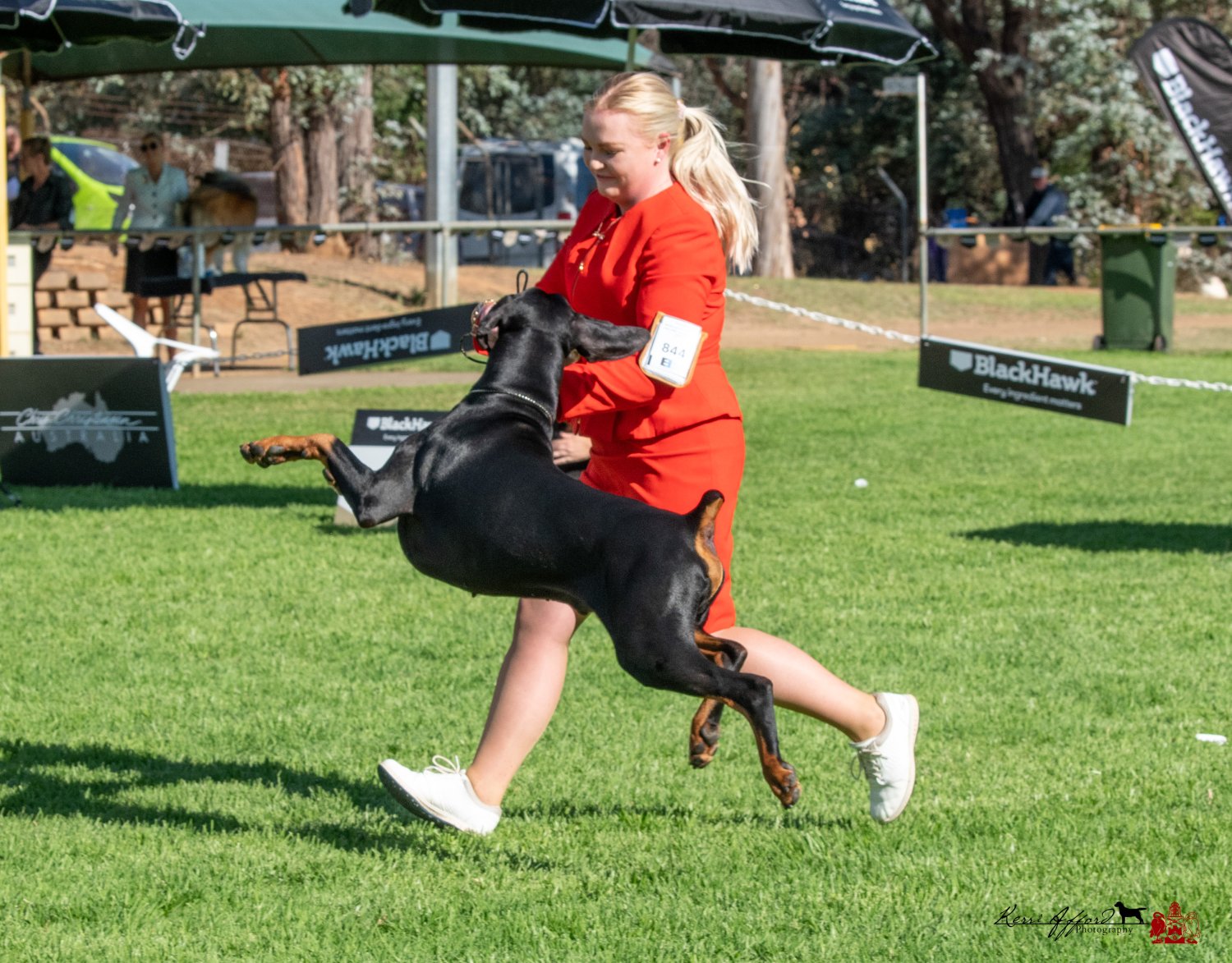 2023-canberra-royal-show-galleries-dogs